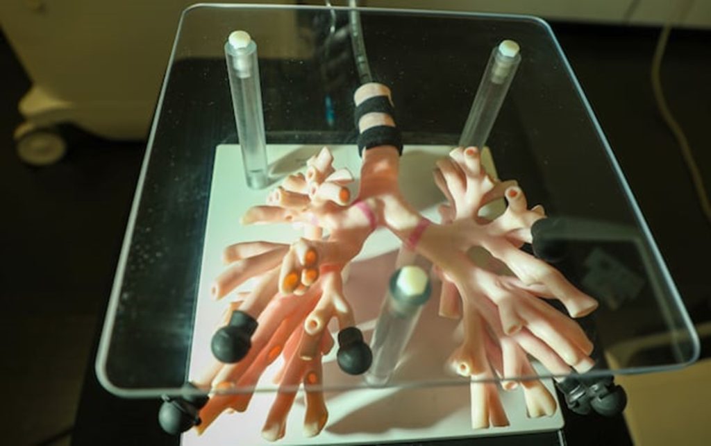 Pasco students learn about robotic surgery technology | Pineapple Report