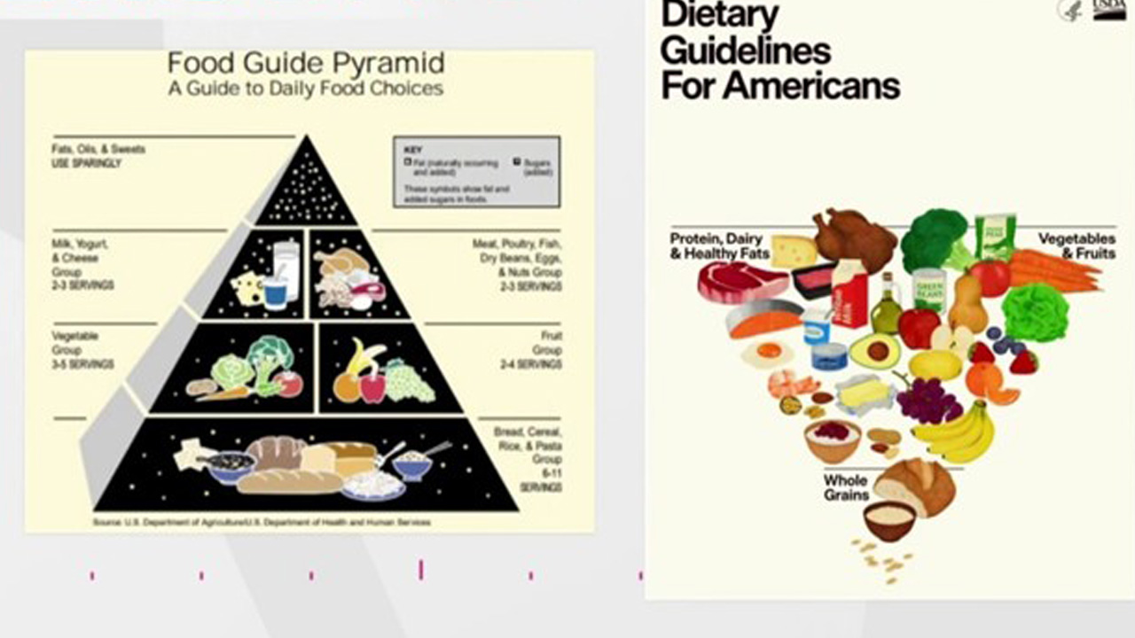 The 6 biggest changes in the new dietary guidelines | Pineapple Report